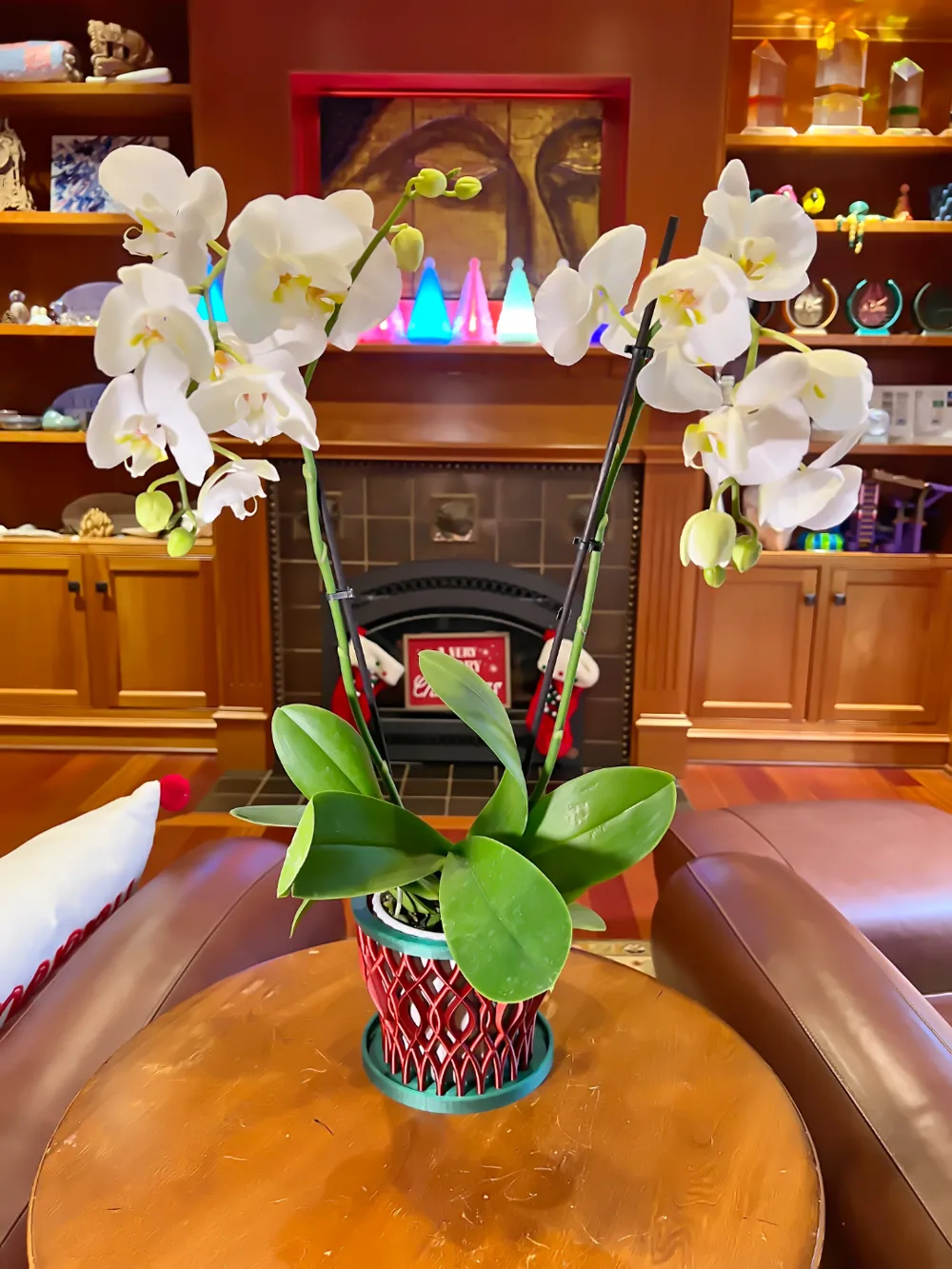 Decorative Orchid Pot by πxel8ed - MakerWorld