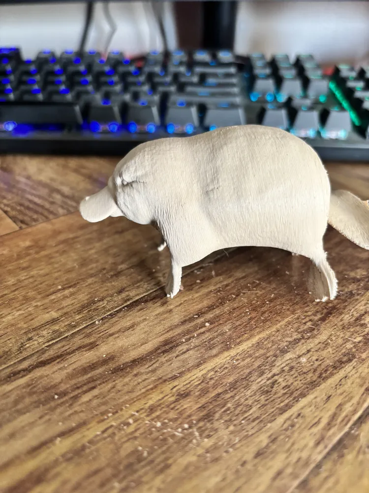 Platypus - Free 3D Print Model - MakerWorld