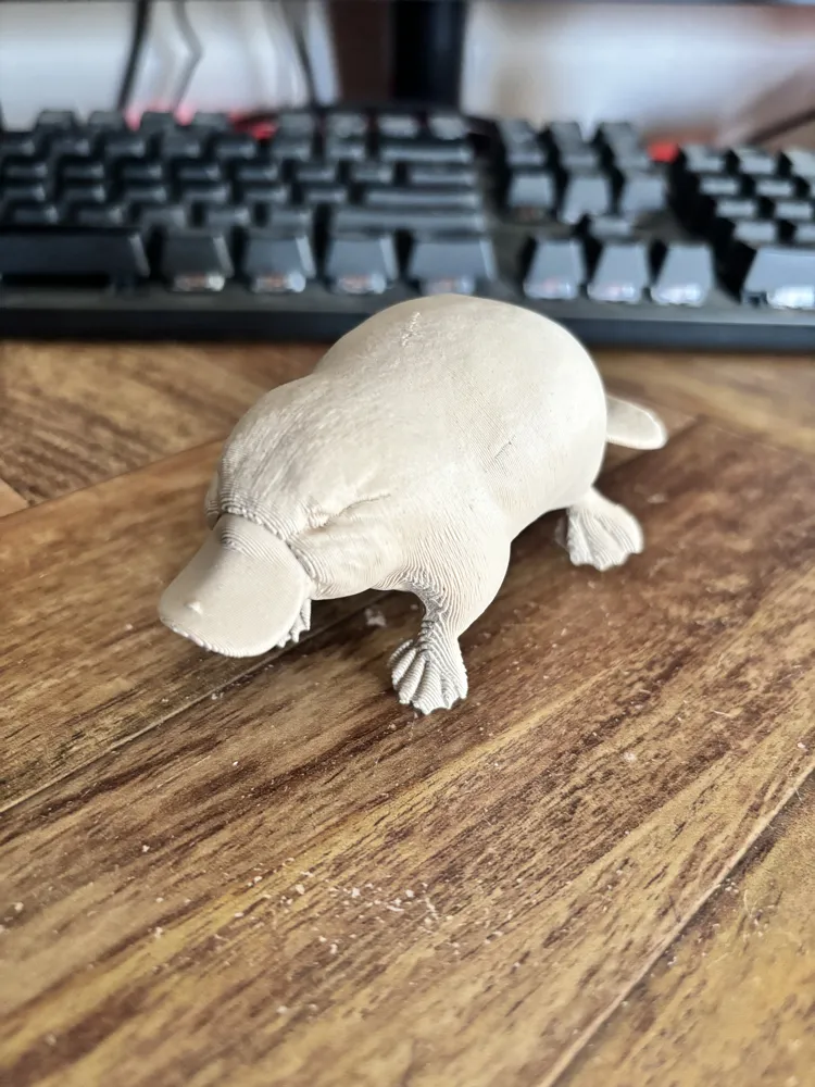 Platypus - Free 3D Print Model - MakerWorld