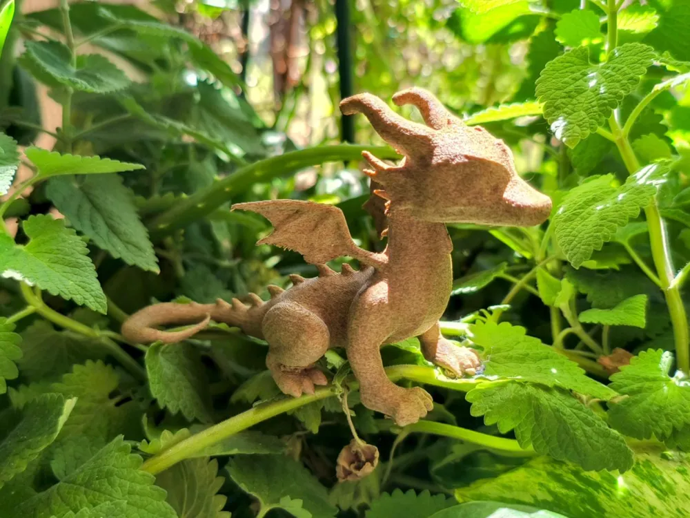 Dragon by Sproutsfromspace - MakerWorld