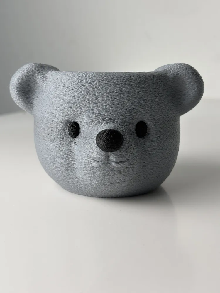Bear Hug Planter – Cute Animal Pot for Succulents by BotanyChic ...