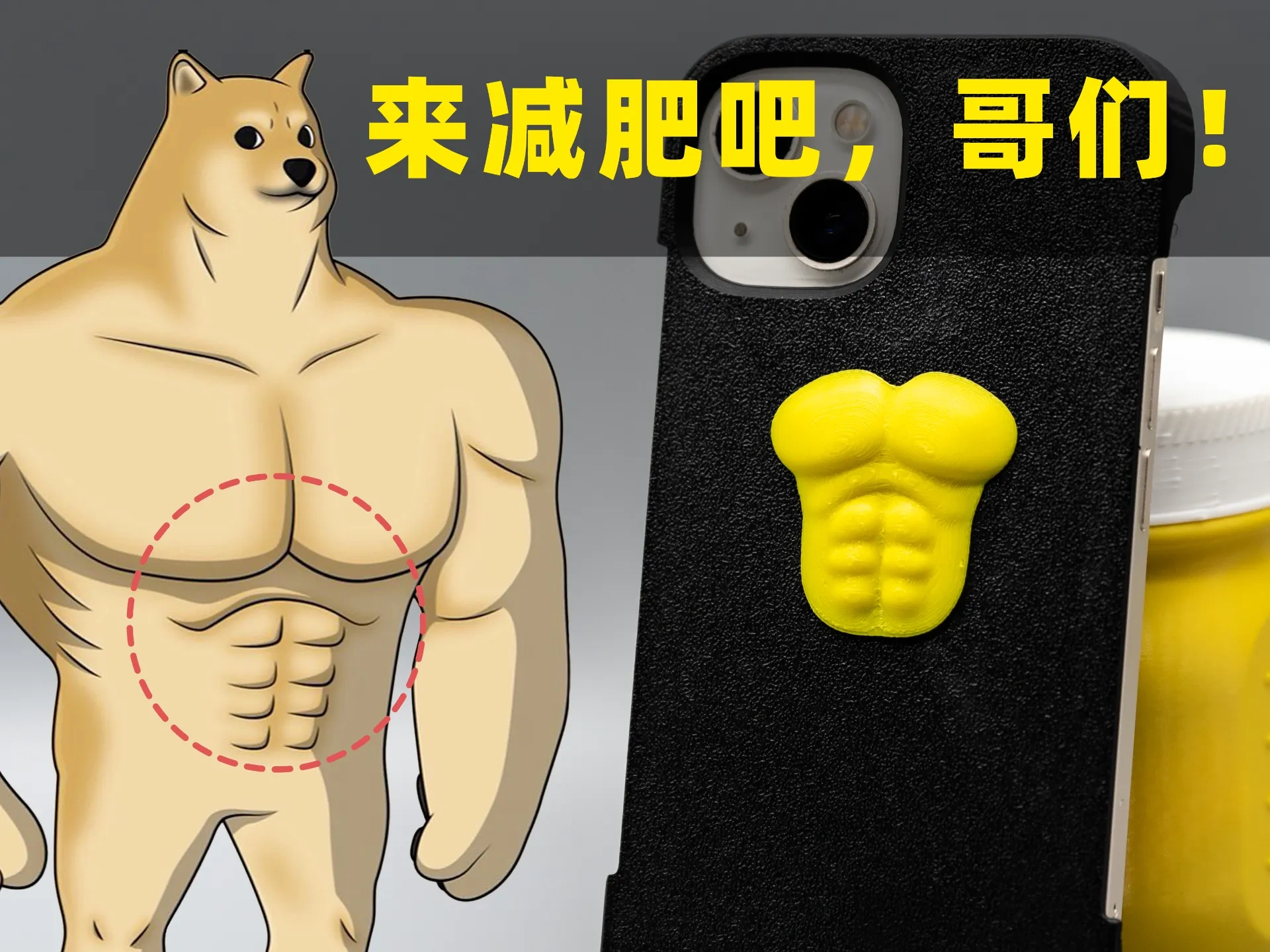 Abdominal Muscle Patch for Shiba Inu: A Weight Loss Reminder Device ...