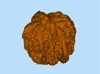 Stuffed Lion Head Walnut by Garywu - MakerWorld