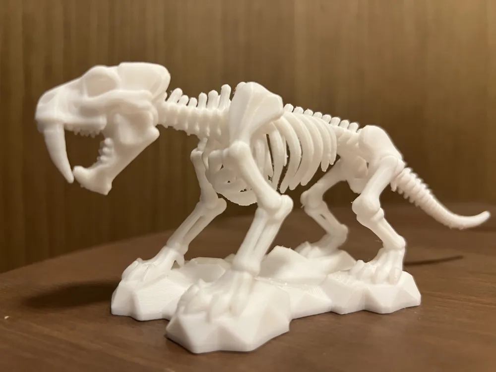 Prehistoric Saber-Toothed Tiger Skeleton by ASTAR MakerWorld: Download ...