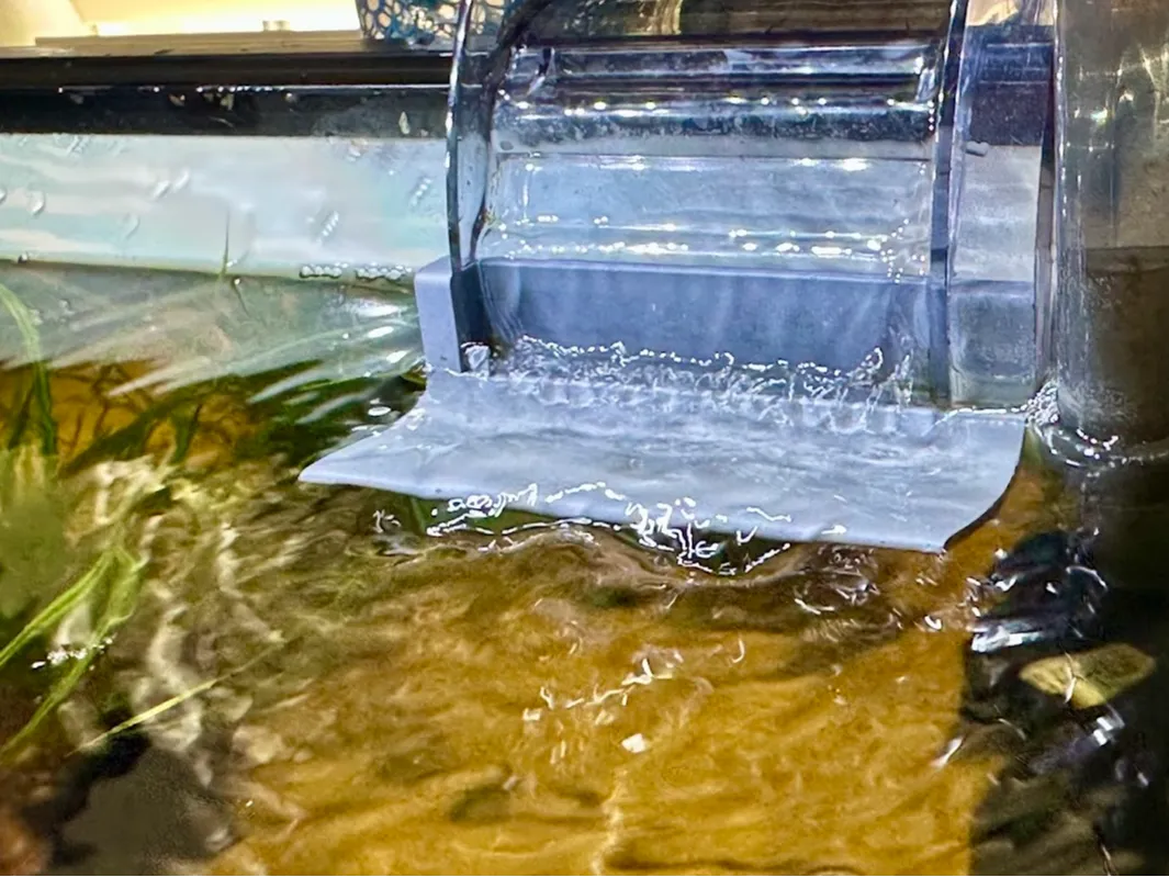 Marina S10 Power Filter Water Baffle by Joseph MakerWorld: Download ...