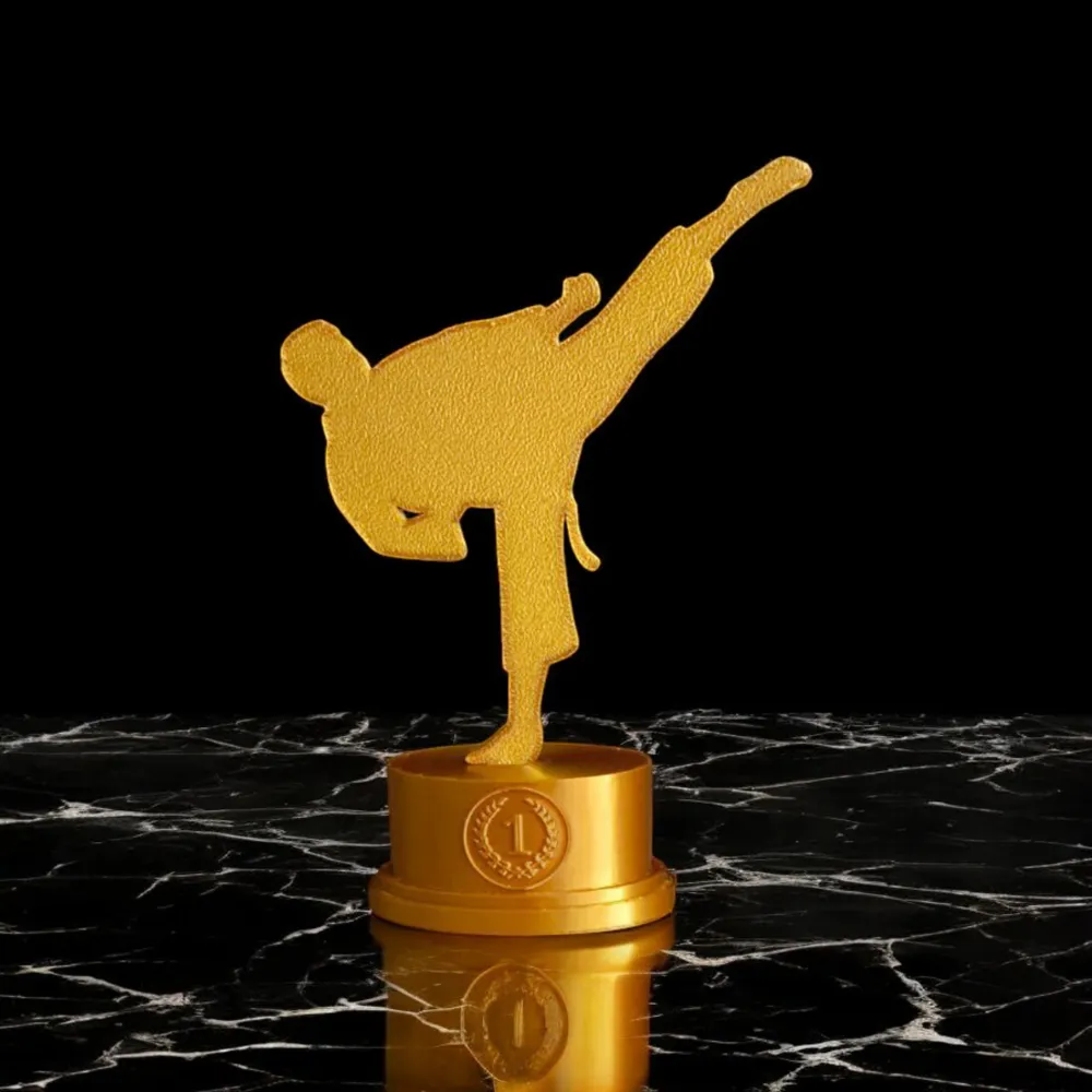 Karate Trophy Customizable, Male or Female Figure by mterhal3k ...