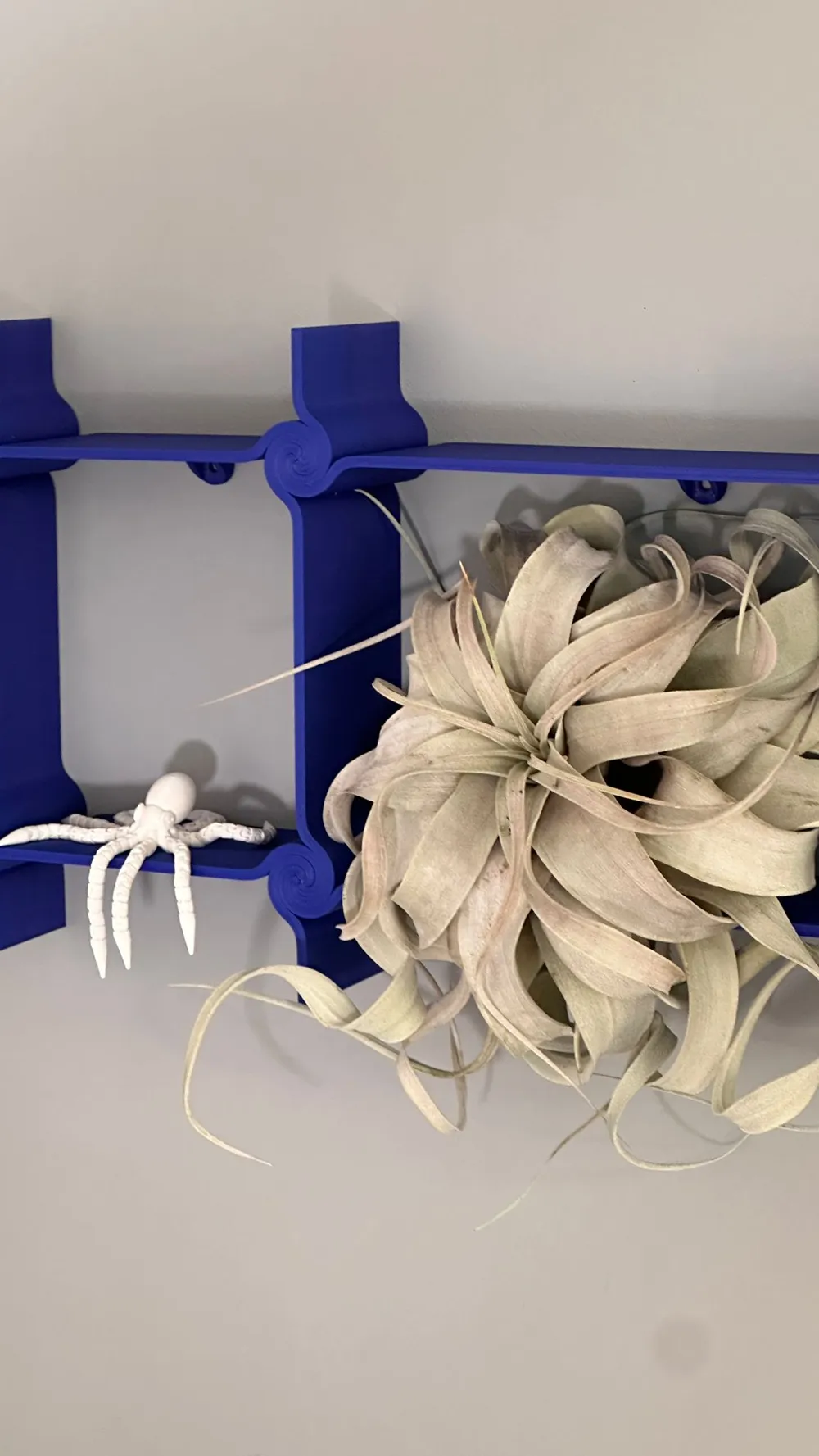 Infinite modular spiral shelf by Kevin Yufe MakerWorld: Download Free ...
