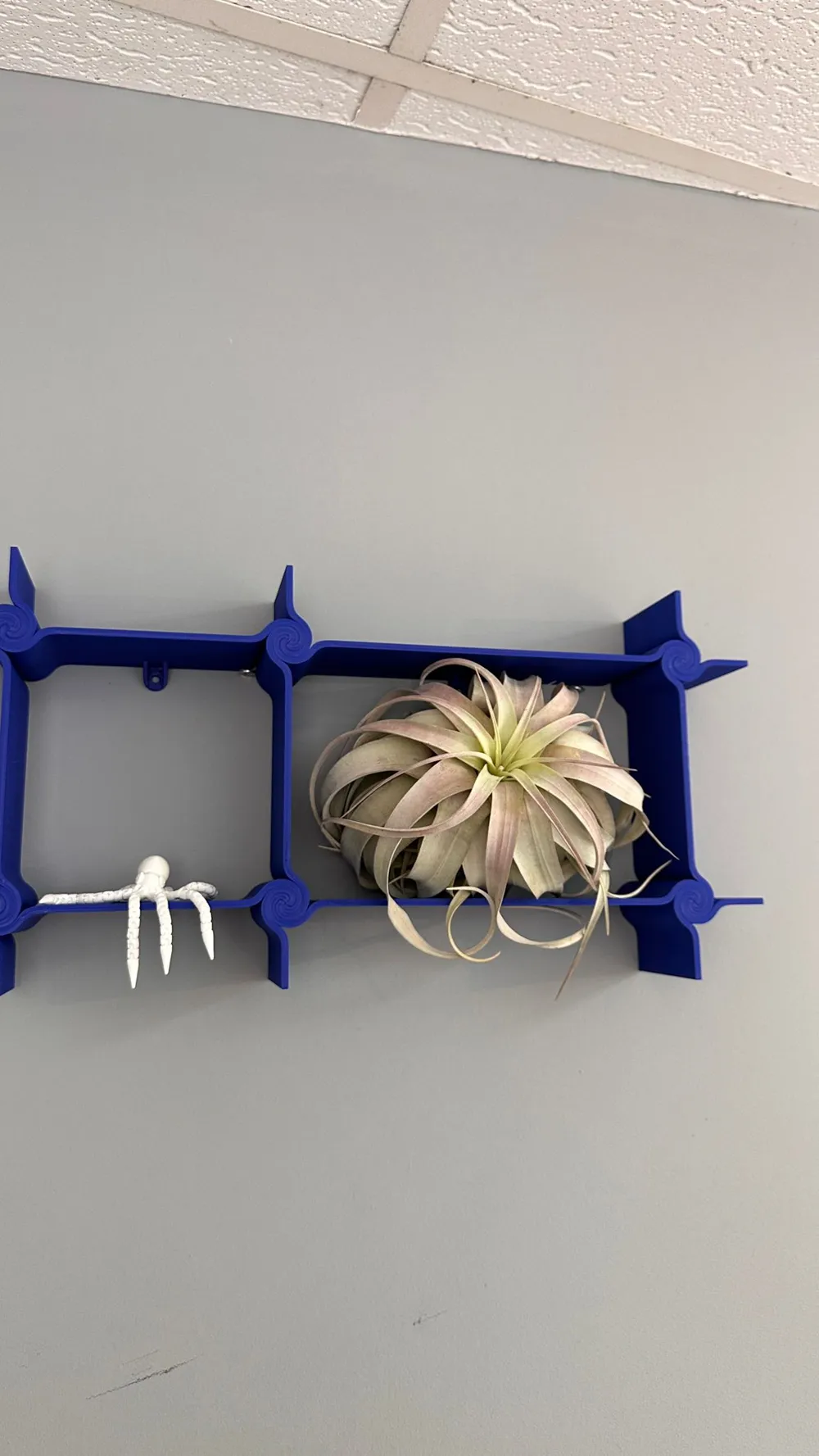 Infinite modular spiral shelf by Kevin Yufe MakerWorld: Download Free ...