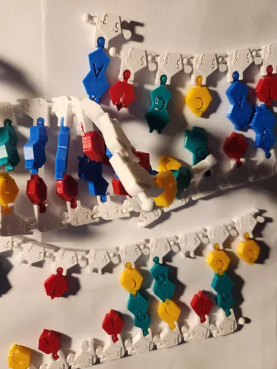 DNA/RNA Model kit activty by heehaw316 - MakerWorld