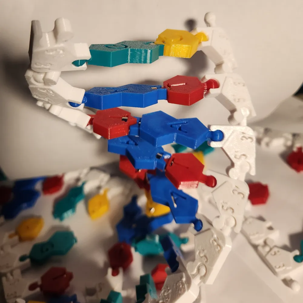 DNA/RNA Model kit activty by heehaw316 - MakerWorld