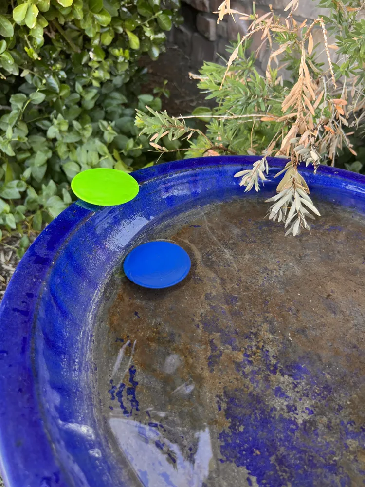 pool water skipper - Free 3D Print Model - MakerWorld