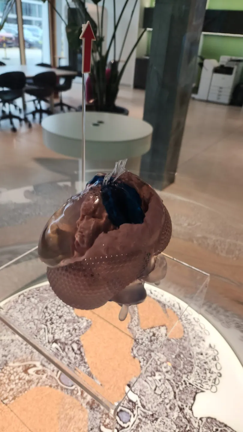 Mosquito head from Micro-CT Segmentation by I Built A Thing - MakerWorld