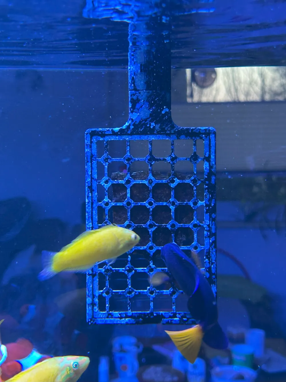 Nori Feeder with pins to secure the seaweed sheet - Free 3D Print Model ...