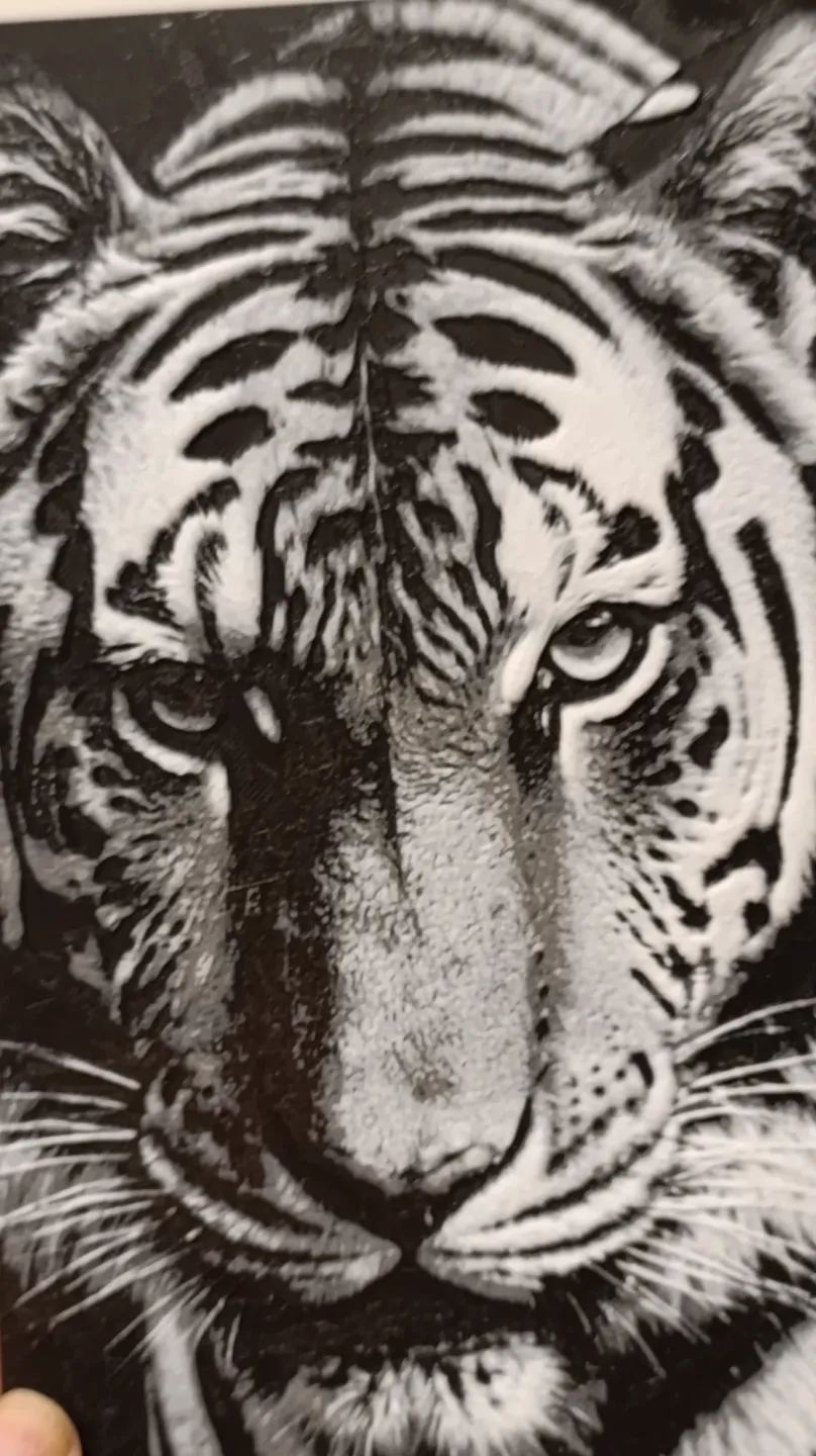 Tiger portrait hueforge by Daxjim MakerWorld: Download Free 3D Models