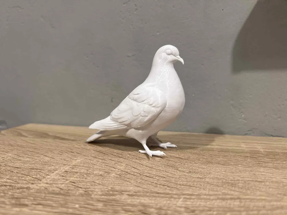 Dove, Pigeon - Bird - Animal - Free 3D Print Model - MakerWorld