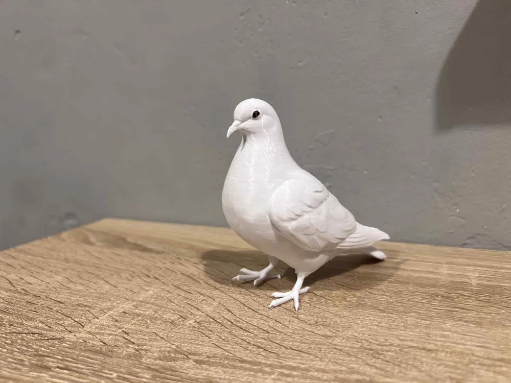 Dove, Pigeon - Bird - Animal - Free 3D Print Model - MakerWorld