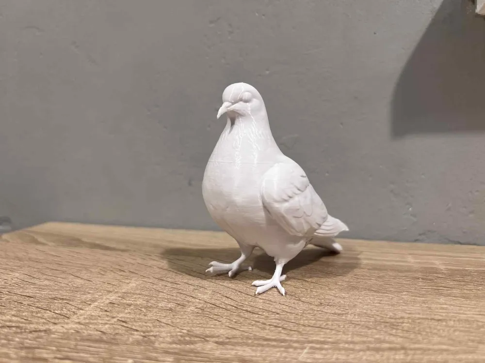 Dove, Pigeon - Bird - Animal - Free 3D Print Model - MakerWorld