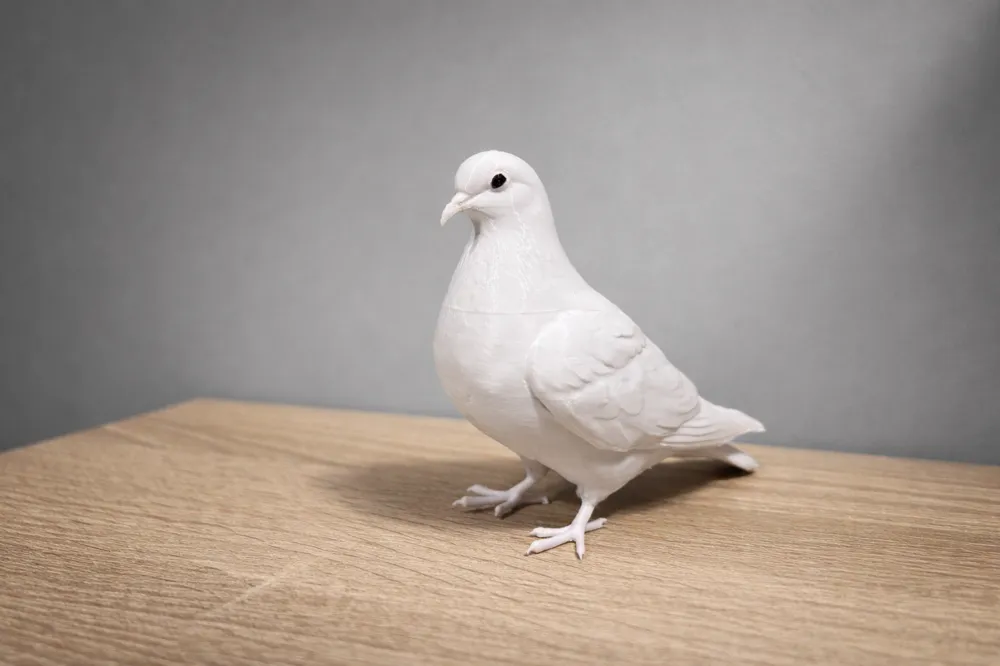 Dove, Pigeon - Bird - Animal - Free 3D Print Model - MakerWorld