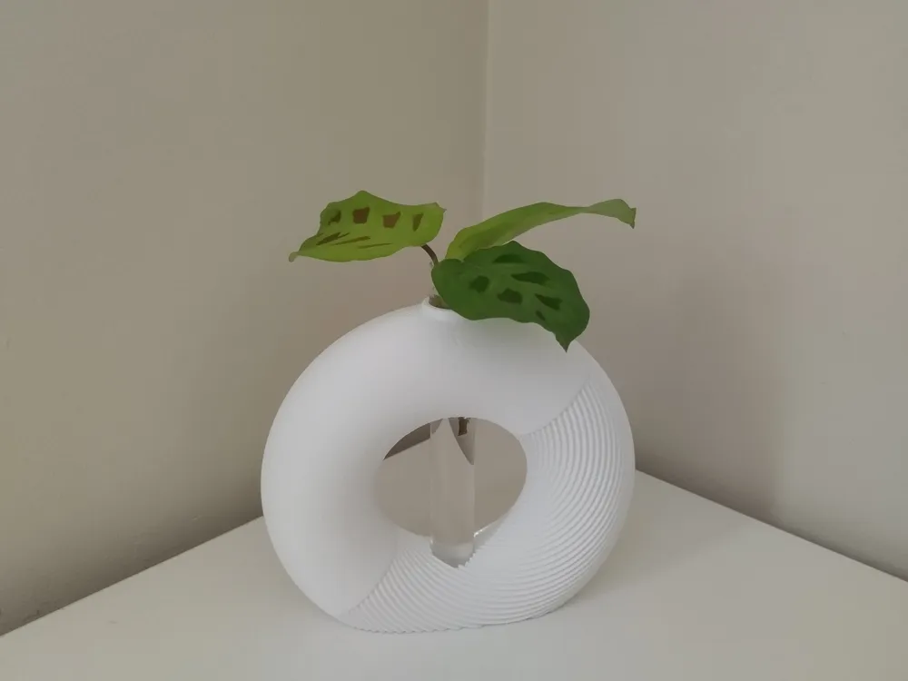 Ring Pflanzenvermehrer – Kostenloses 3D-Druckmodell – MakerWorld