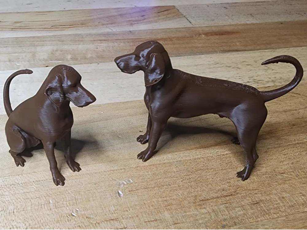 Red Bone Coon Hound Hunting Dog by Florida Features Digital MakerWorld ...