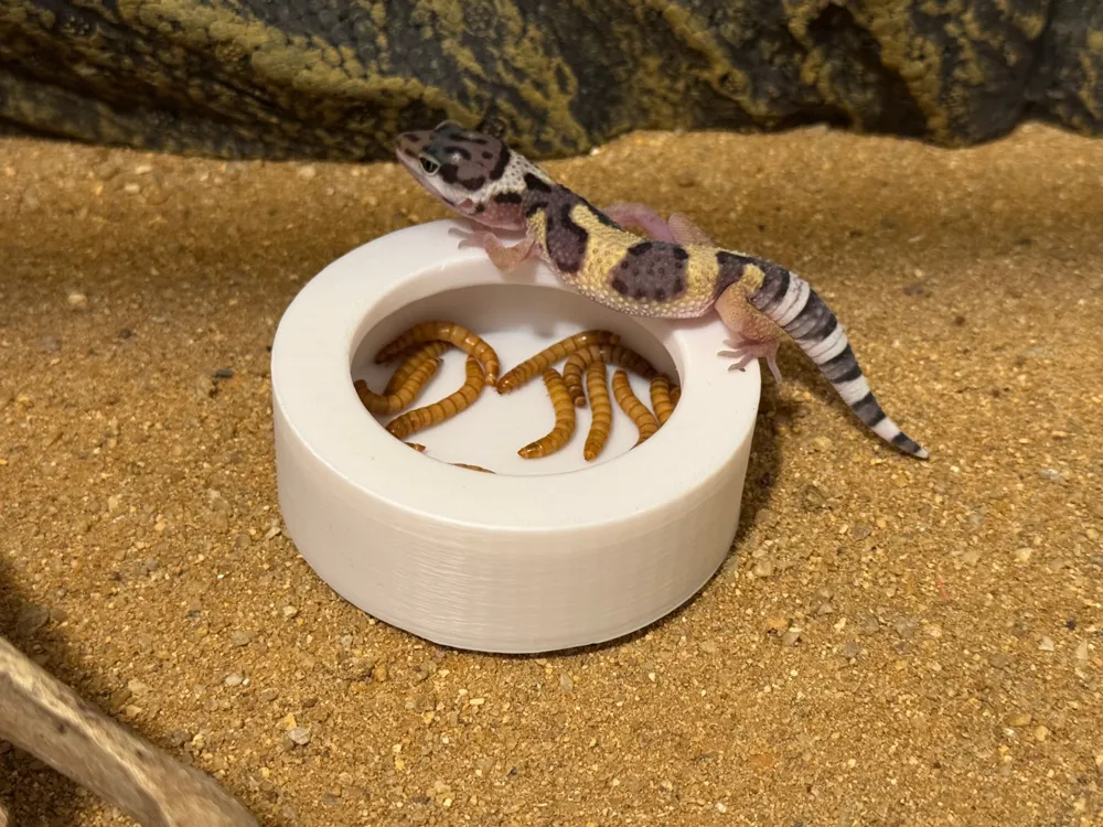 Escape Proof Mealworm Dish - Free 3D Print Model - MakerWorld