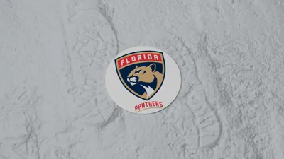 Florida Panthers Coaster by Joshua 3D - MakerWorld