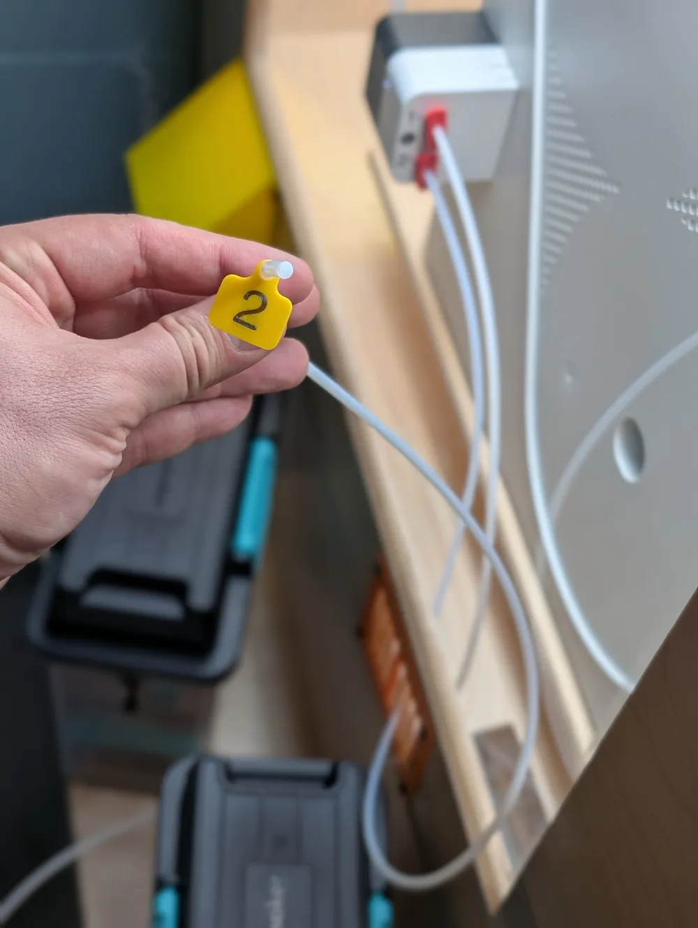 4mm PTFE Labels - Free 3D Print Model - MakerWorld