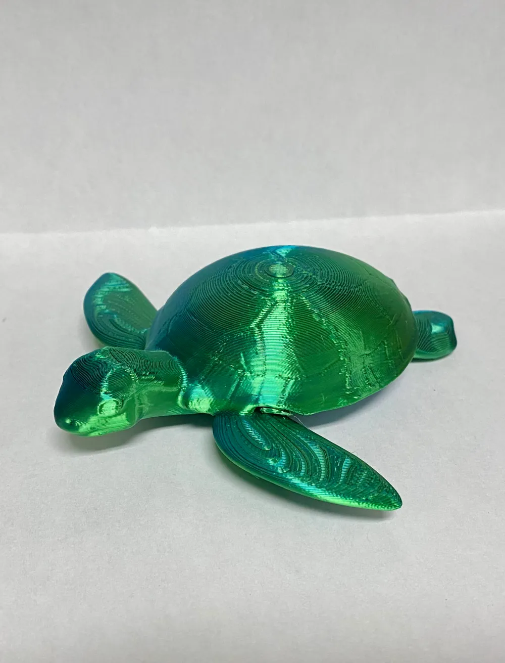 Sea Turtle Magnet by Maeve_3D - MakerWorld