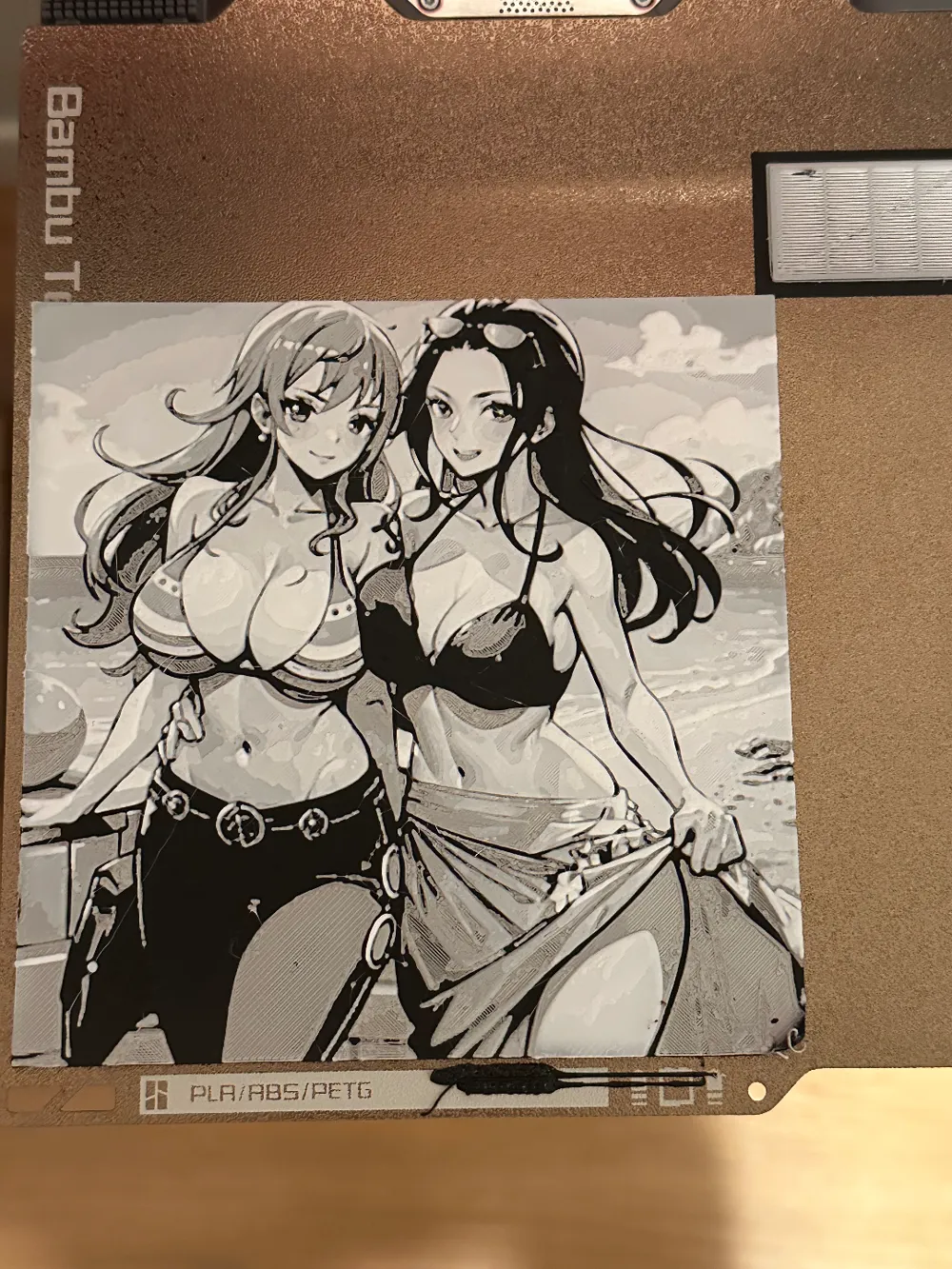 Nami & Robin Hueforge by locohcoco - MakerWorld