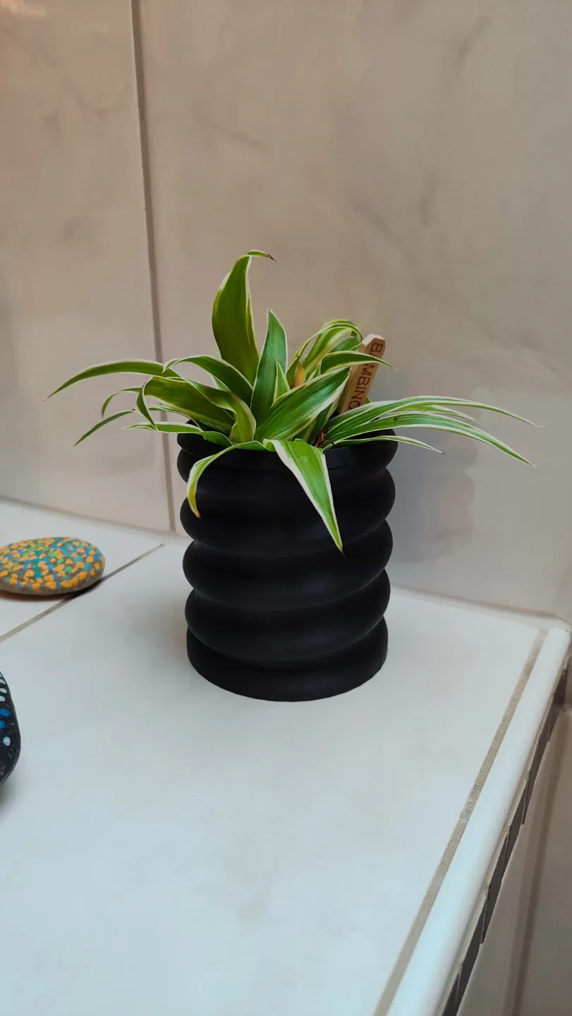 Spiral Plant Pot by DLUS - MakerWorld