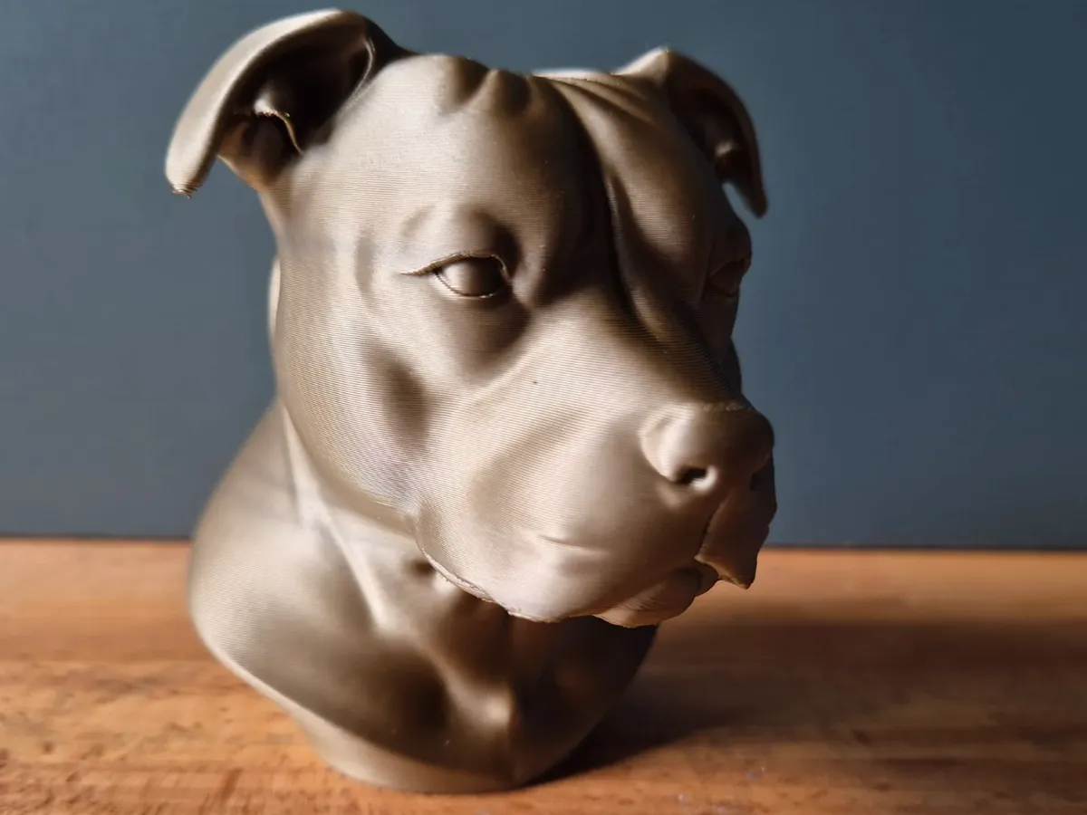 Staffordshire Bullterrier Bust – Dog Sculpture by Mr.Jay MakerWorld: Download Free 3D Models
