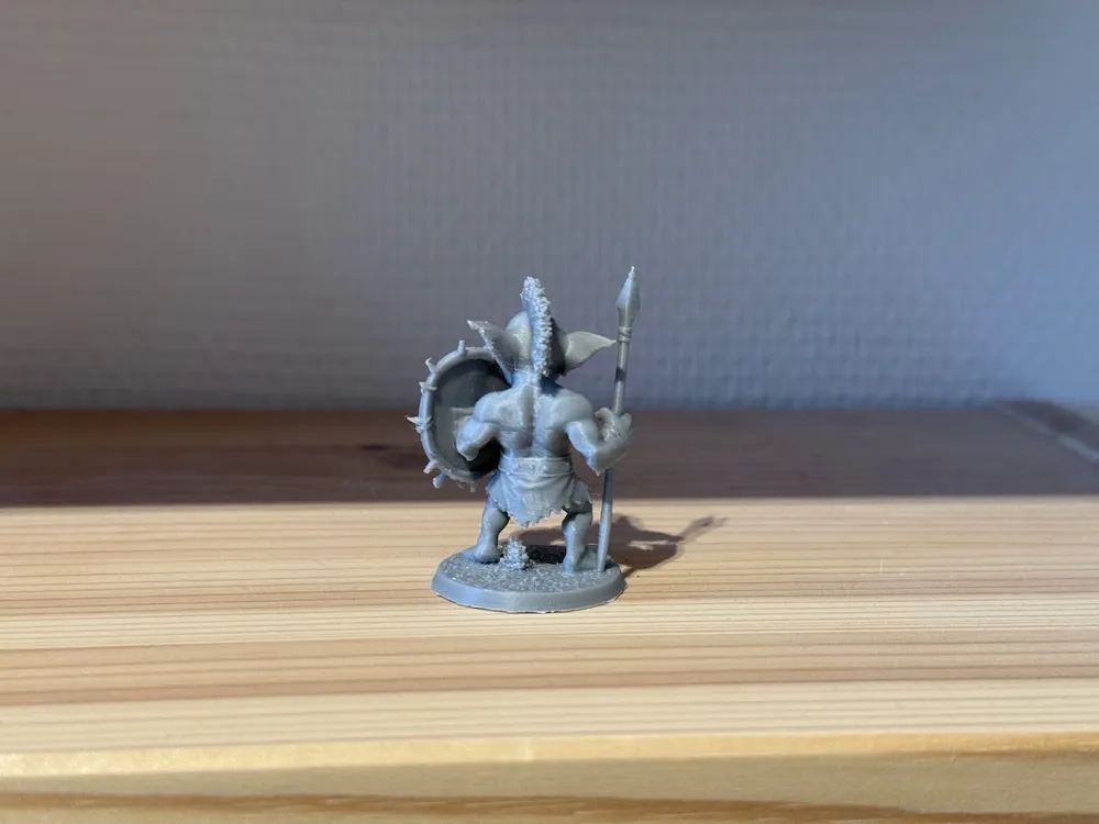 Goblin Warrior – Spear & Cat Shield - DND mini - Free 3D Print Model ...