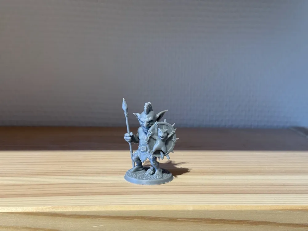Goblin Warrior – Spear & Cat Shield - DND mini - Free 3D Print Model ...
