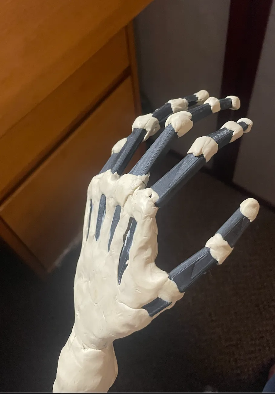 Anatomy Scale Hand by user_2703013299 - MakerWorld