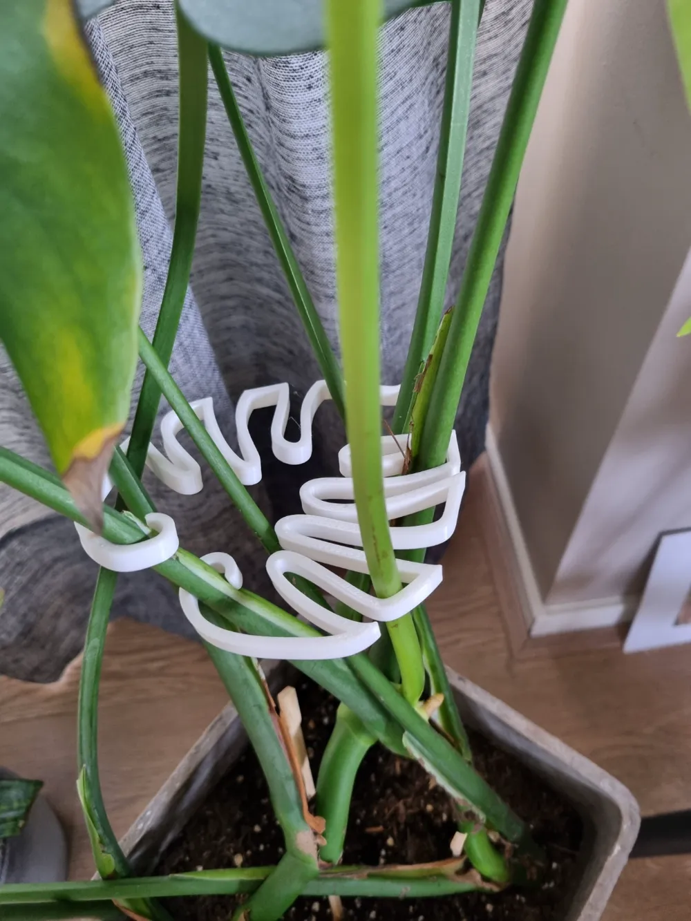 Monstera plant stem holder leafed shape with hooks Remixed by Mqwaar ...