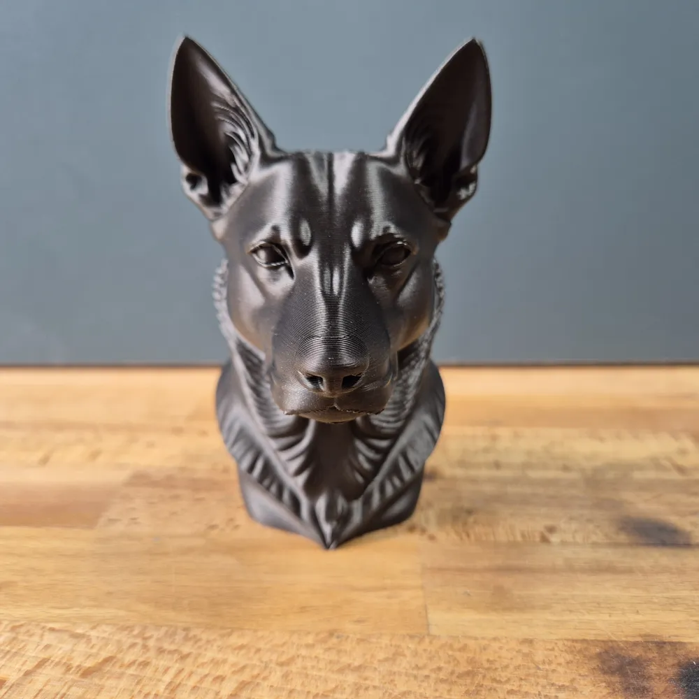 Australian Kelpie Bust by Mr.Jay MakerWorld: Download Free 3D Models