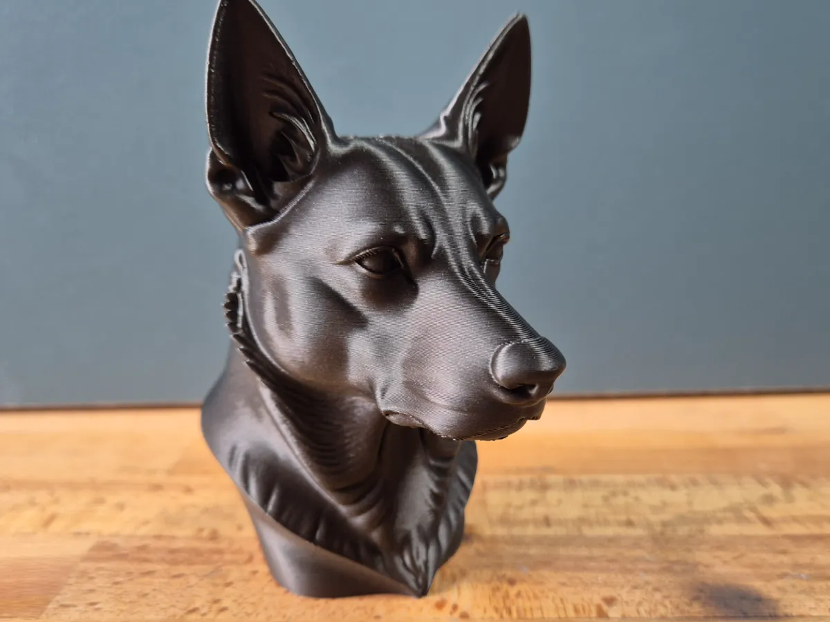 Australian Kelpie Bust by Mr.Jay MakerWorld: Download Free 3D Models