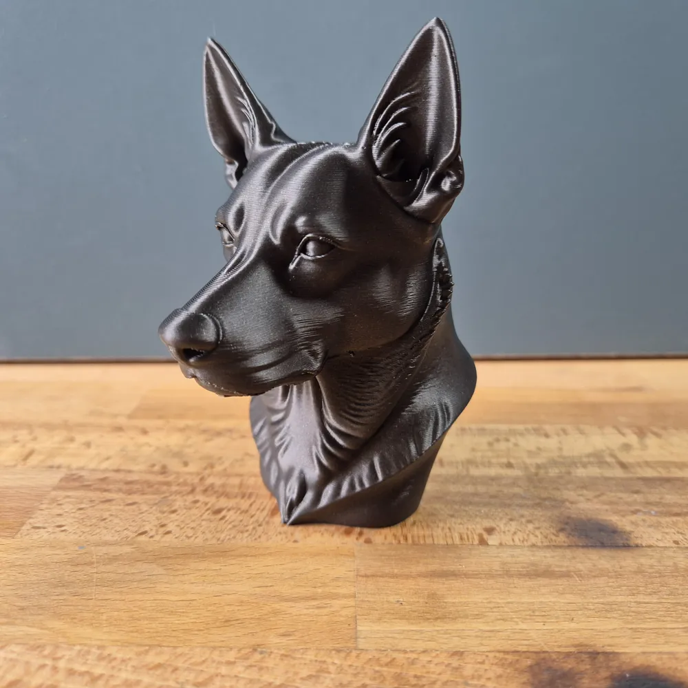 Australian Kelpie Bust - Free 3D Print Model - MakerWorld