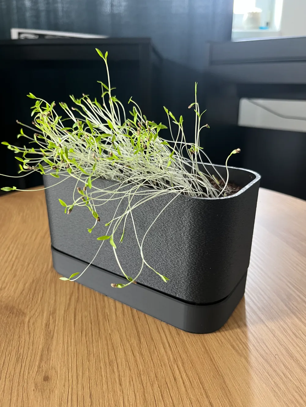 Maceta auto-riego A1 mini por UrbanBuran - MakerWorld