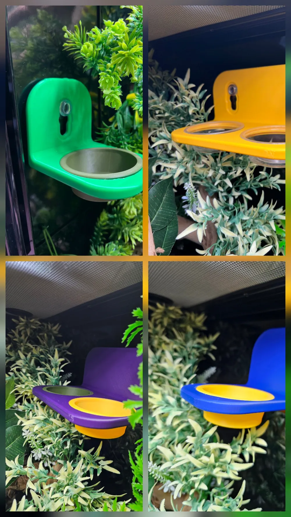 Pangea style large Reptile feed bowls - Free 3D Print Model - MakerWorld