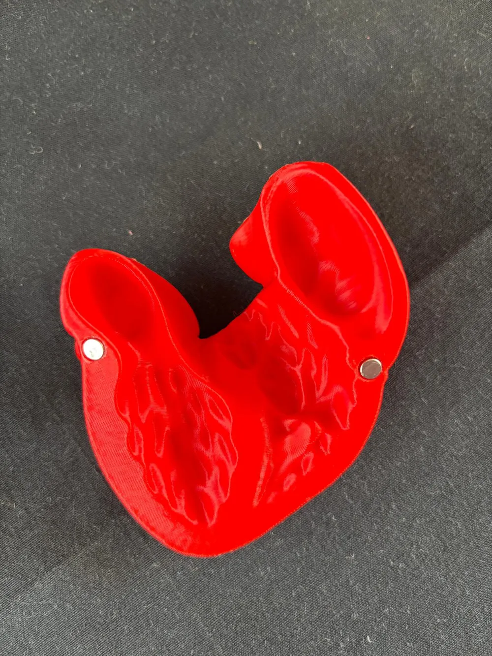 Human heart anatomy, split in two with magnets - Free 3D Print Model ...