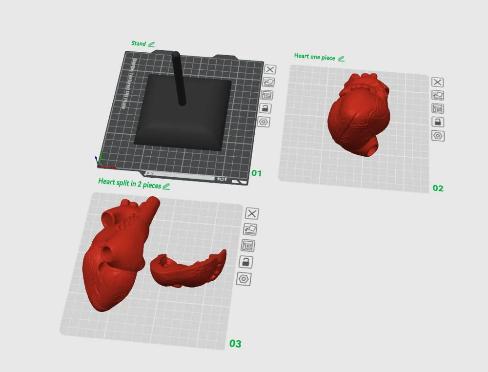 Human heart anatomy, split in two with magnets - Free 3D Print Model ...
