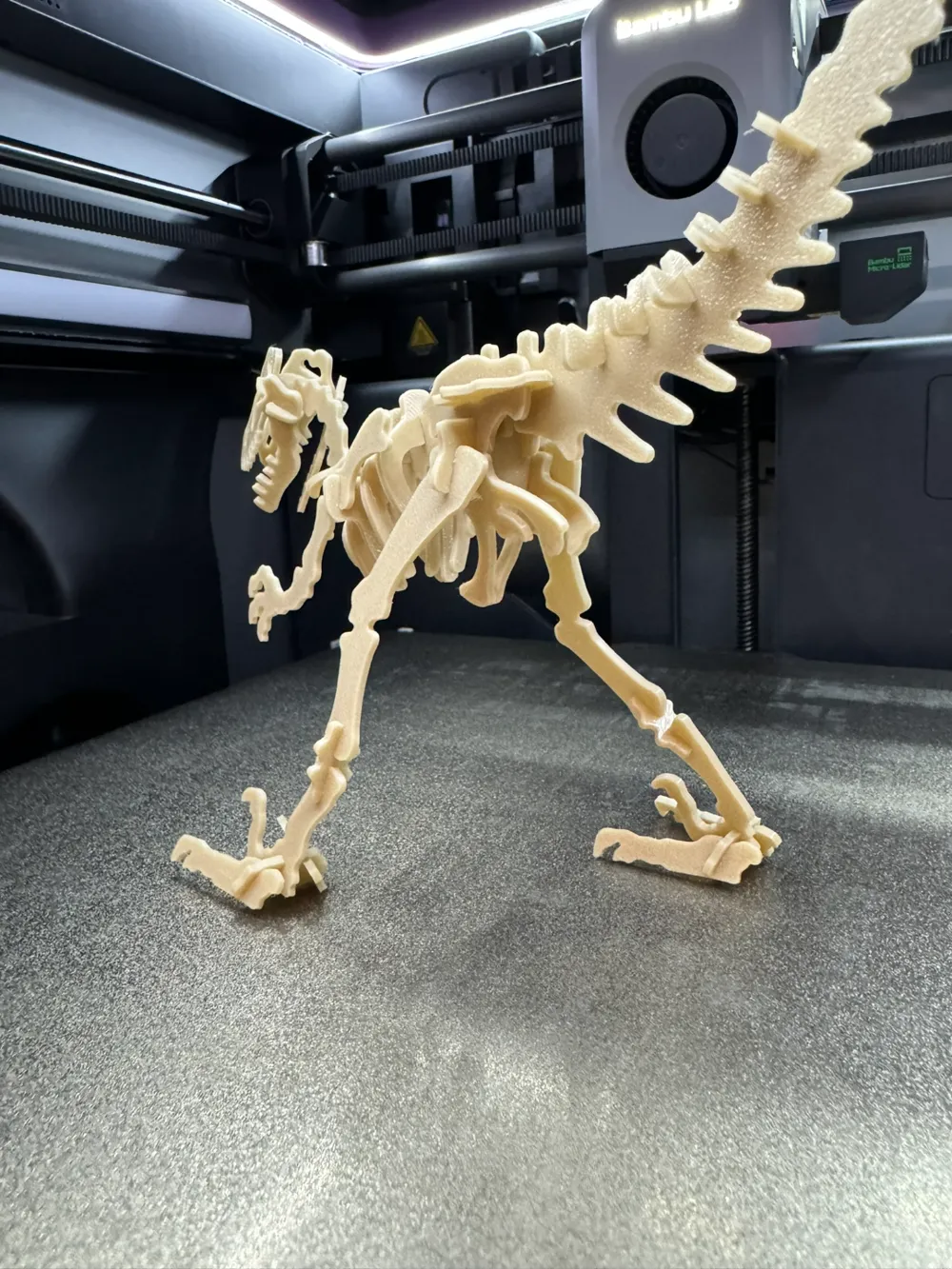 Velociraptor Kit Card - Free 3D Print Model - MakerWorld