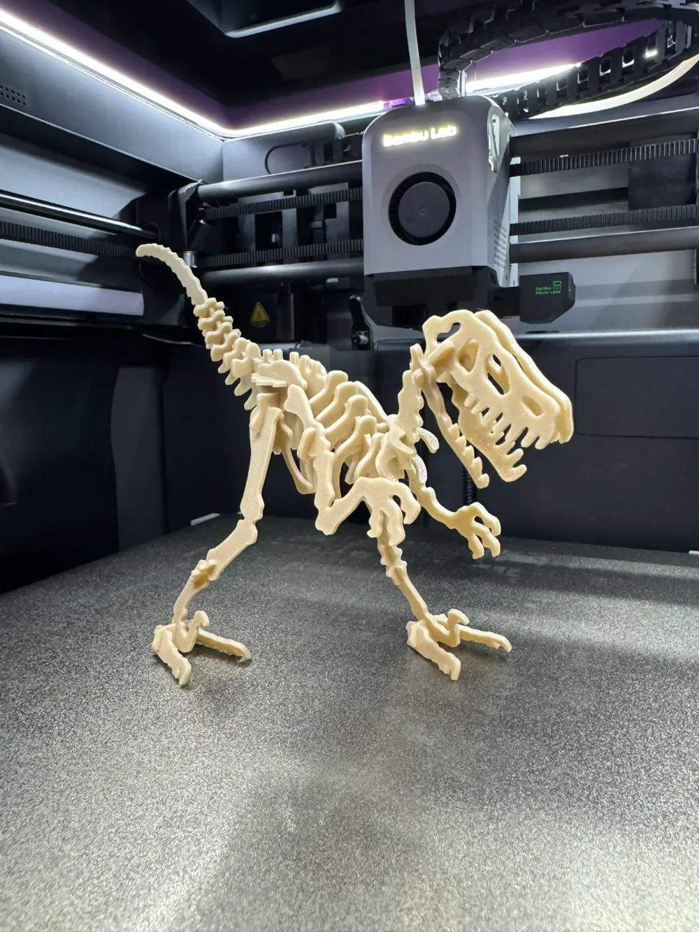 Velociraptor Kit Card - Free 3D Print Model - MakerWorld