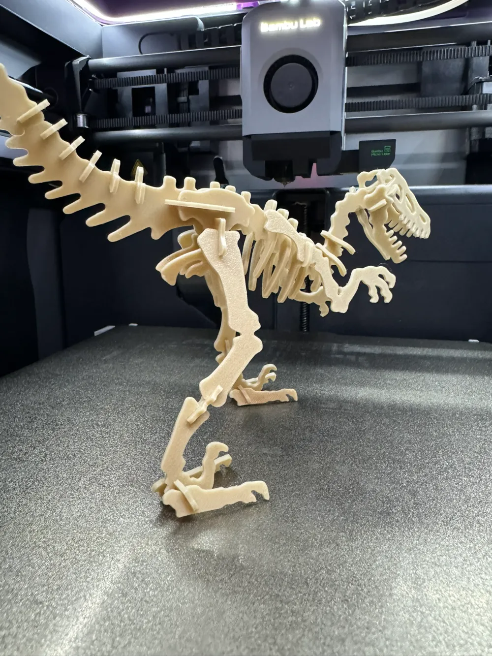 Velociraptor Kit Card - Free 3D Print Model - MakerWorld
