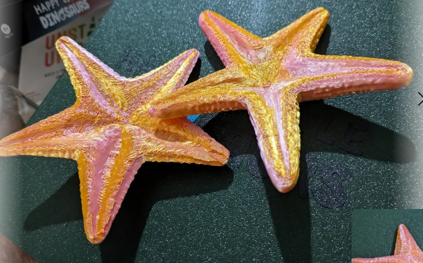 Stella & Finn the Starry Duo by PrintedPixels - MakerWorld