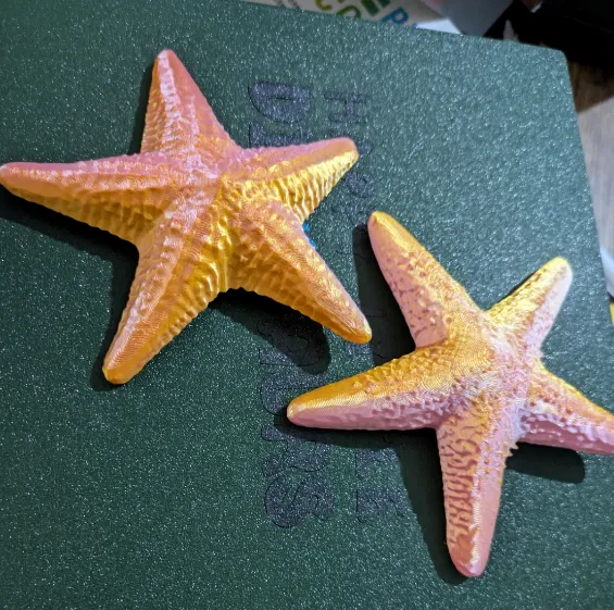 Stella & Finn the Starry Duo by PrintedPixels - MakerWorld