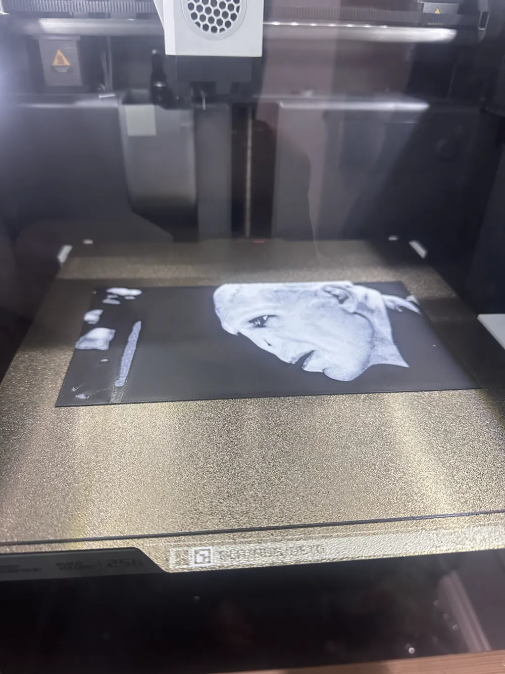 Voldemort(Harry Potter )Hueforge filament painting by Grim - MakerWorld