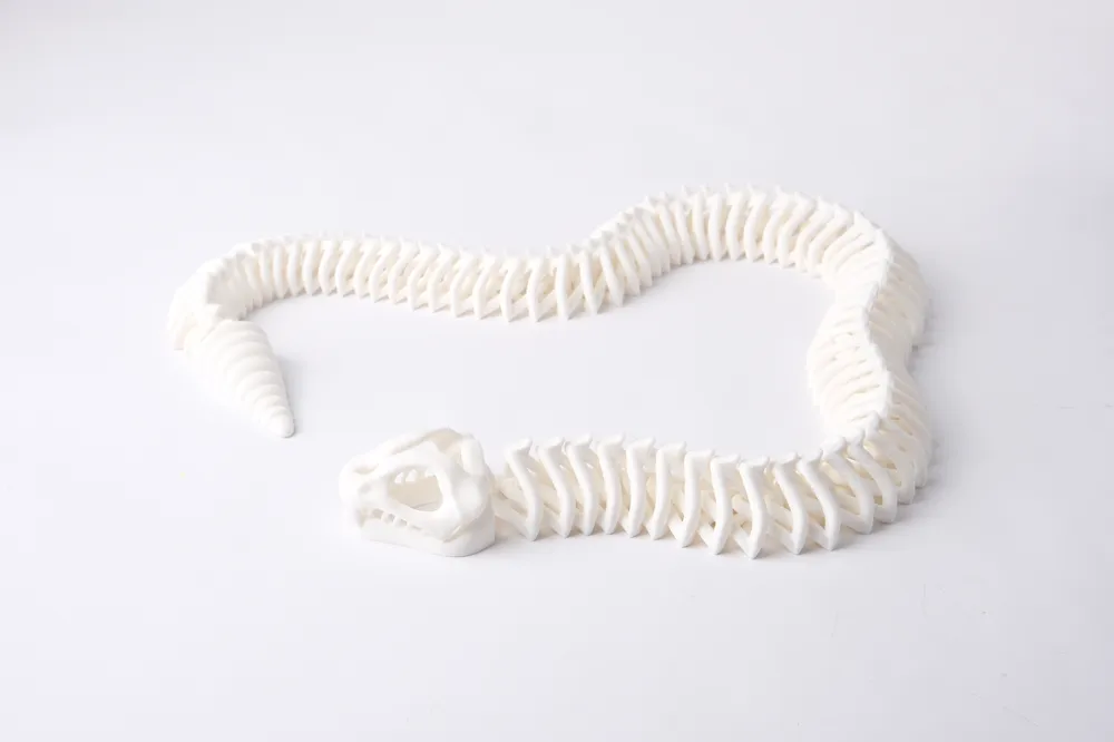 Articulated Snake Skeleton Toy – Flexible Model by Fleximania ...