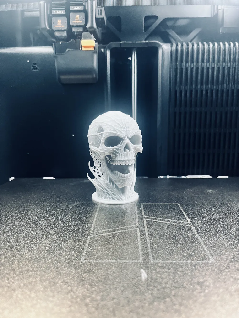 Skull full of cobwebs by Future 3D MakerWorld: Download Free 3D Models